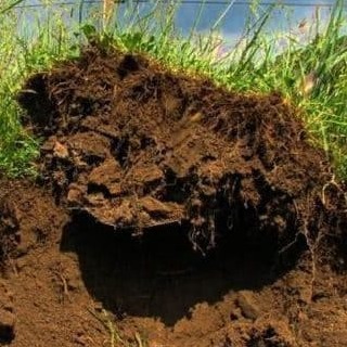 Купить растительный грунт в Санкт-Петербурге: цена за куб с доставкой